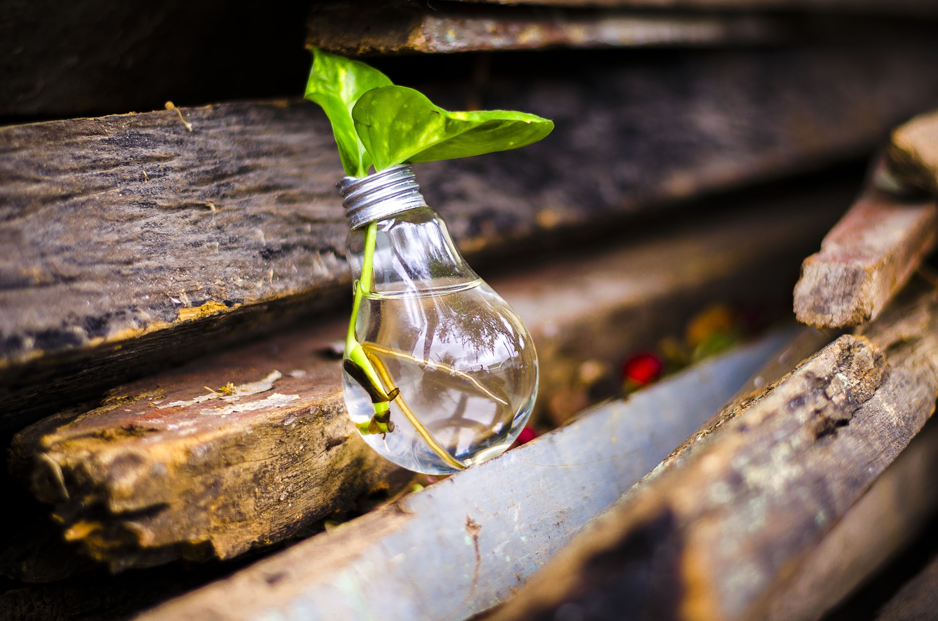 Wasting Your Waste Is Such A Waste - Ecomasteryproject