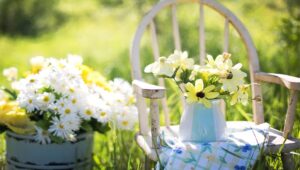 Ethical Farming: A Look at What It Is and Some Ideas for Doing It ...