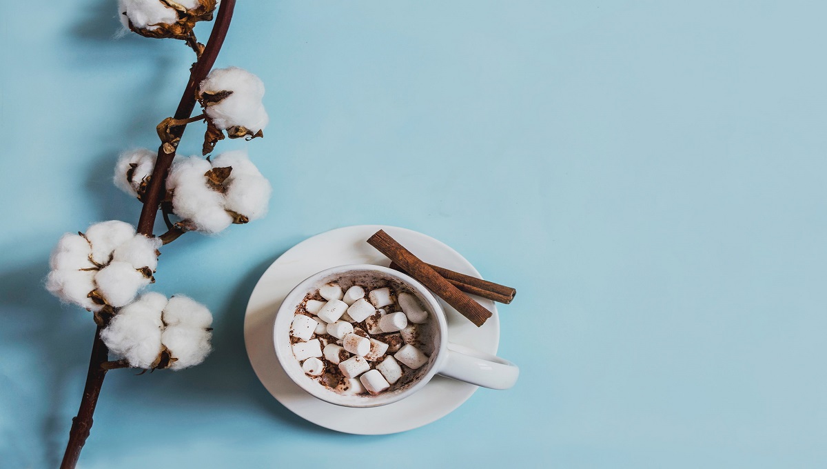 Is cotton a Renewable resource? - Ecomasteryproject