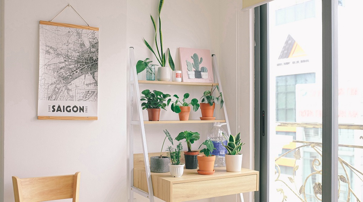 40 Brilliant Ways to Put Your Recycled Plants Back into Use ...
